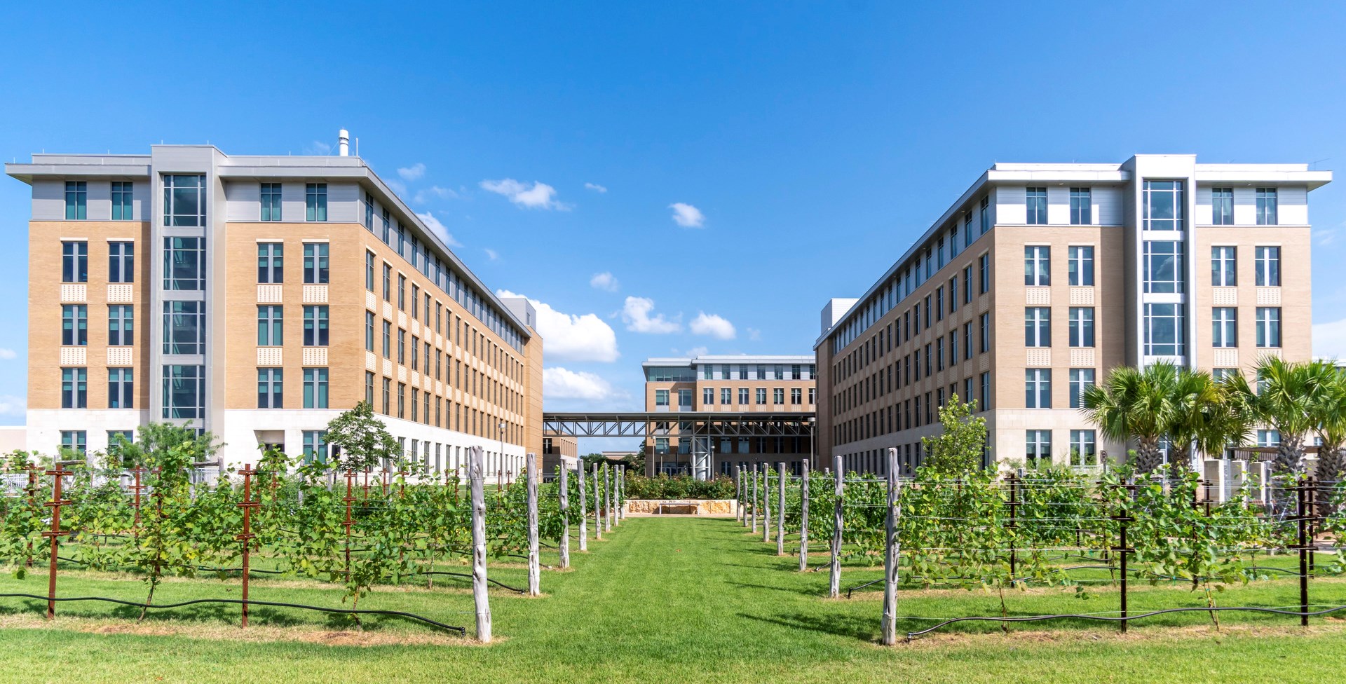 Texas A&M University Agriculture and Life Sciences Complex