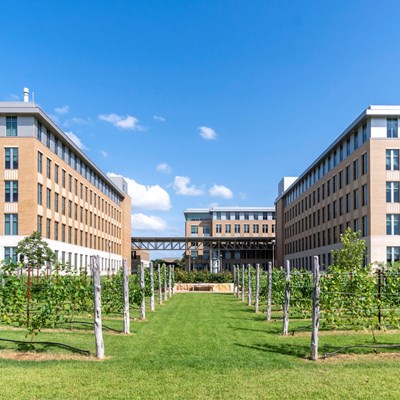 Texas A&M University Equine Initiative