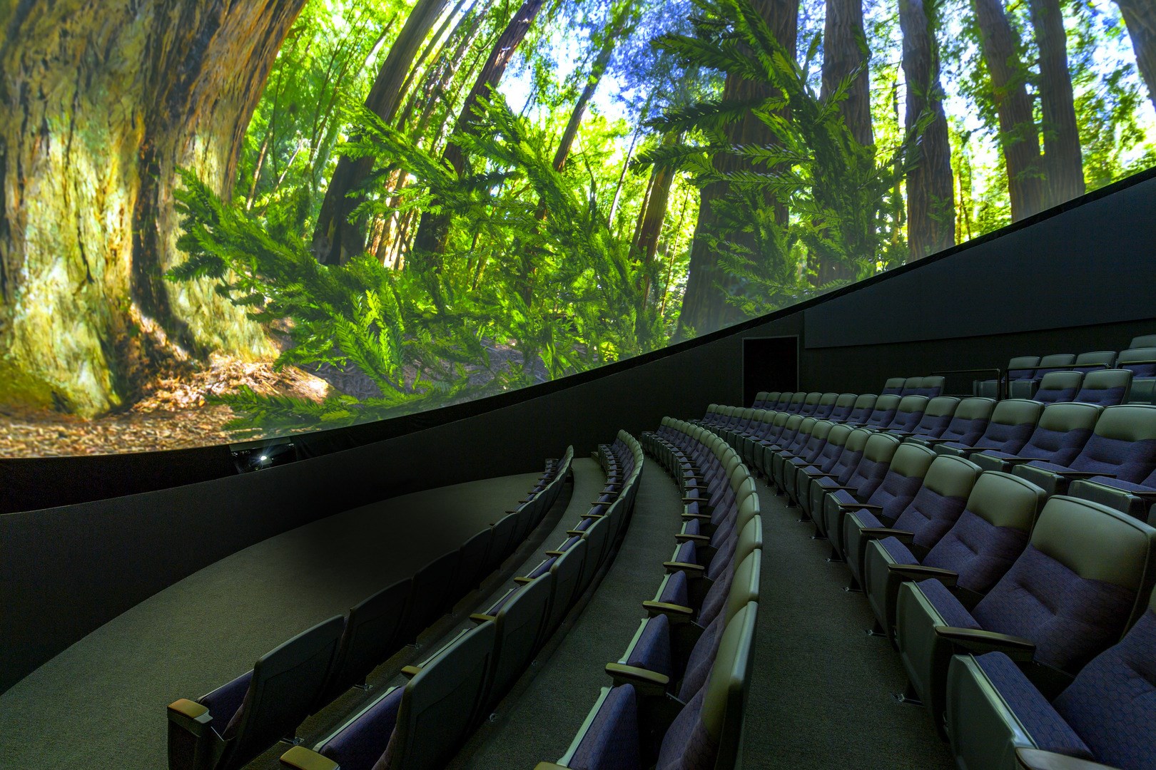 Stephen F. Austin State University STEM Building