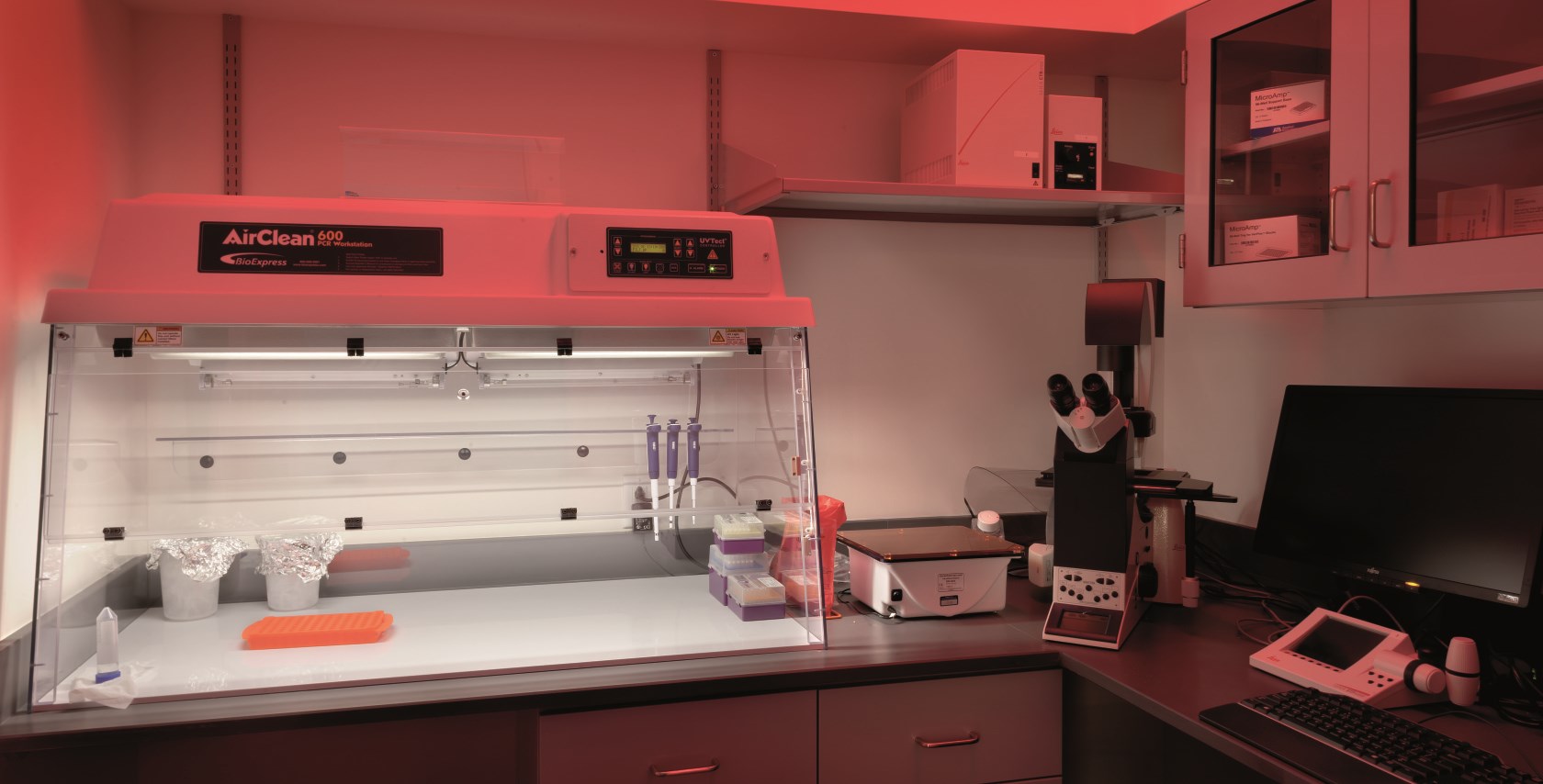 Bellicum Pharmaceuticals