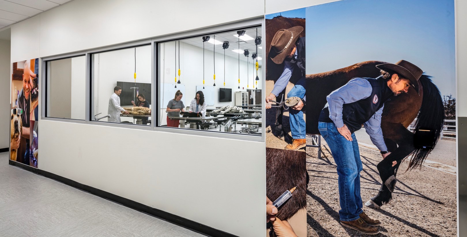 Texas Tech University School of Veterinary Medicine