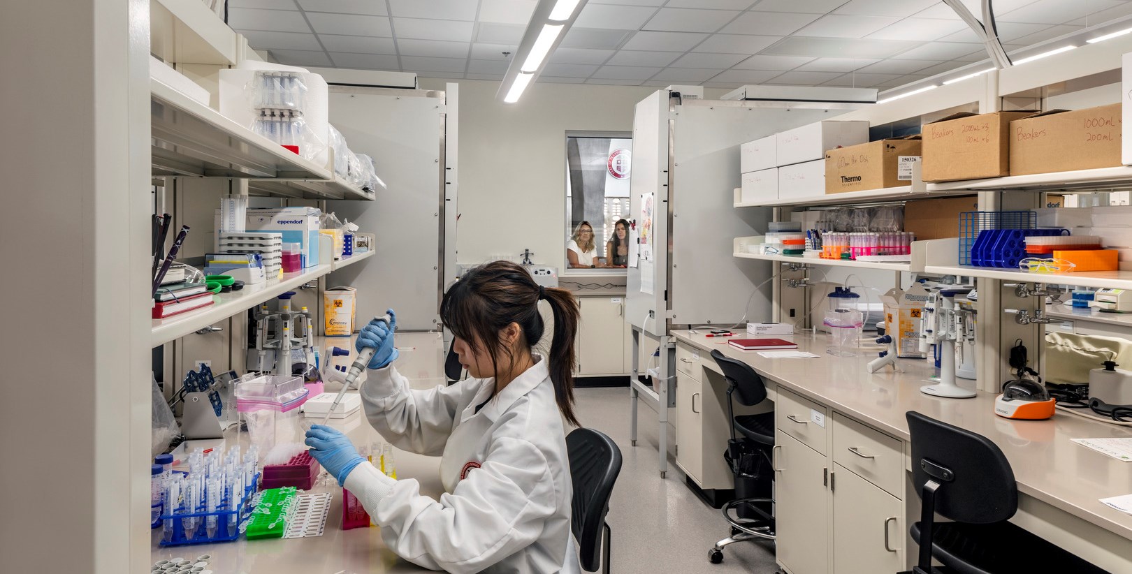 Texas Tech University School of Veterinary Medicine