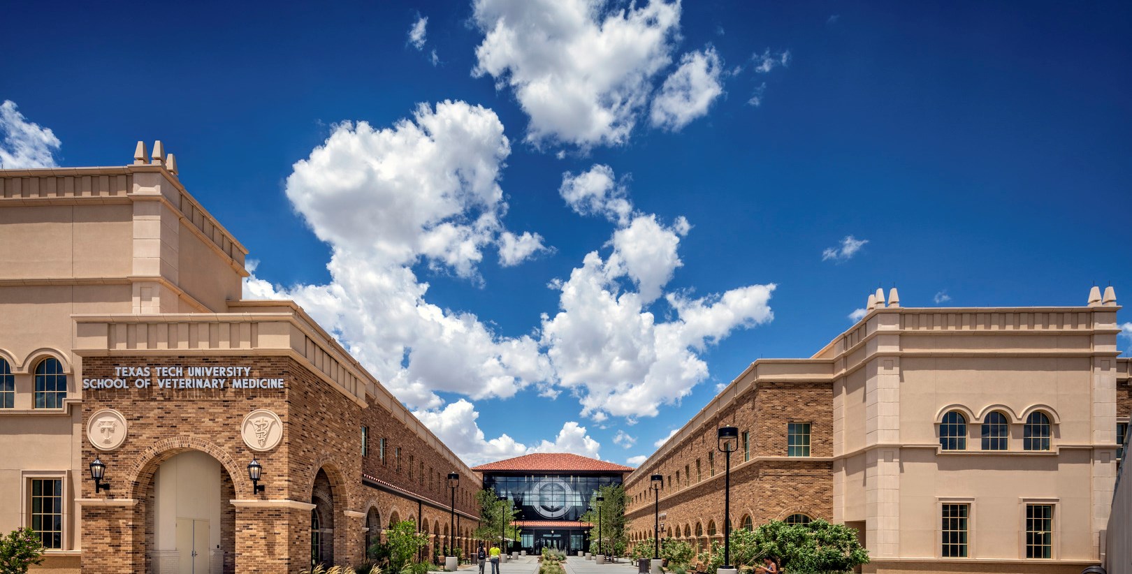 Texas Tech University School of Veterinary Medicine