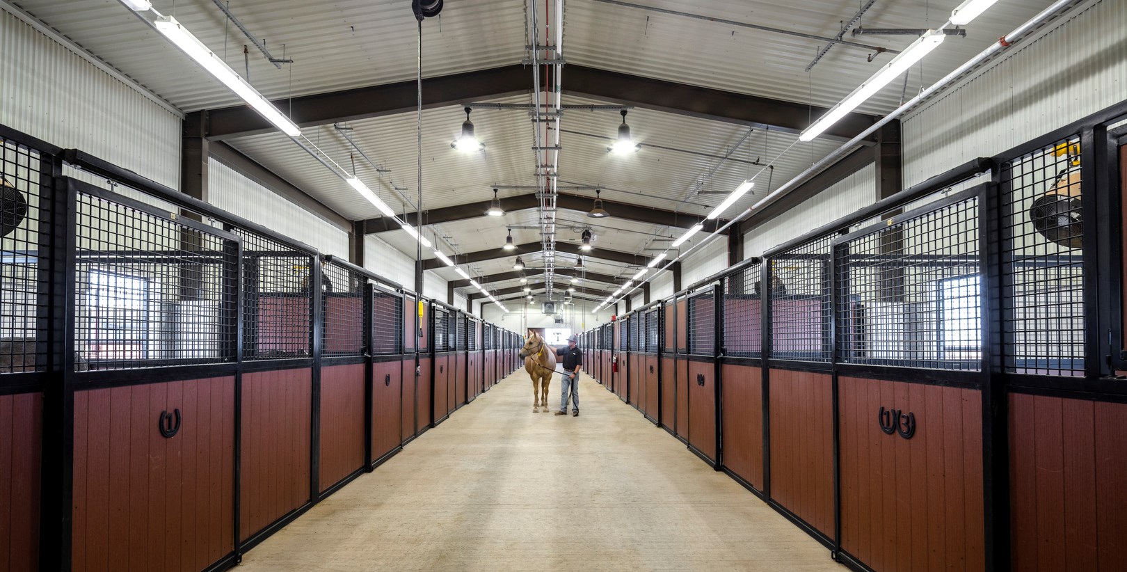 Texas Tech University School of Veterinary Medicine